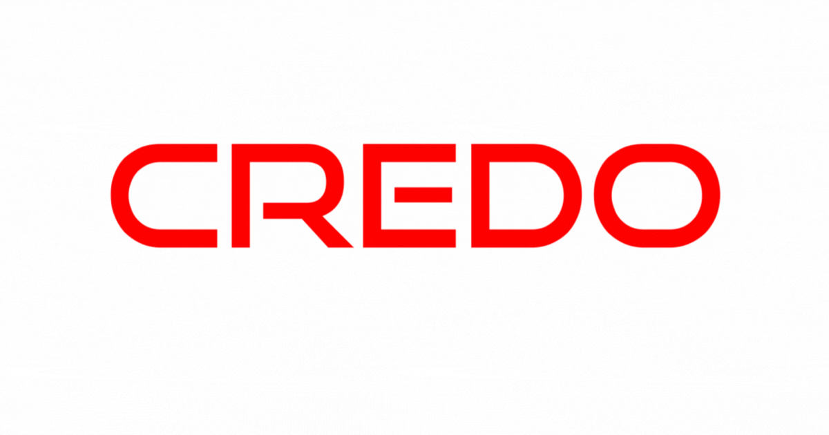 CREDO Technology Services | Securing Growth